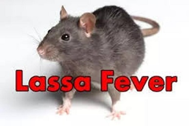 Lassa Fever Recorded In Lagos – Maritime Nigeria