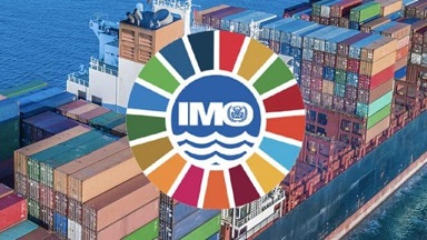 IMO IMPLORE STATES TO EFFECT CREW CHANGE – Maritime Nigeria